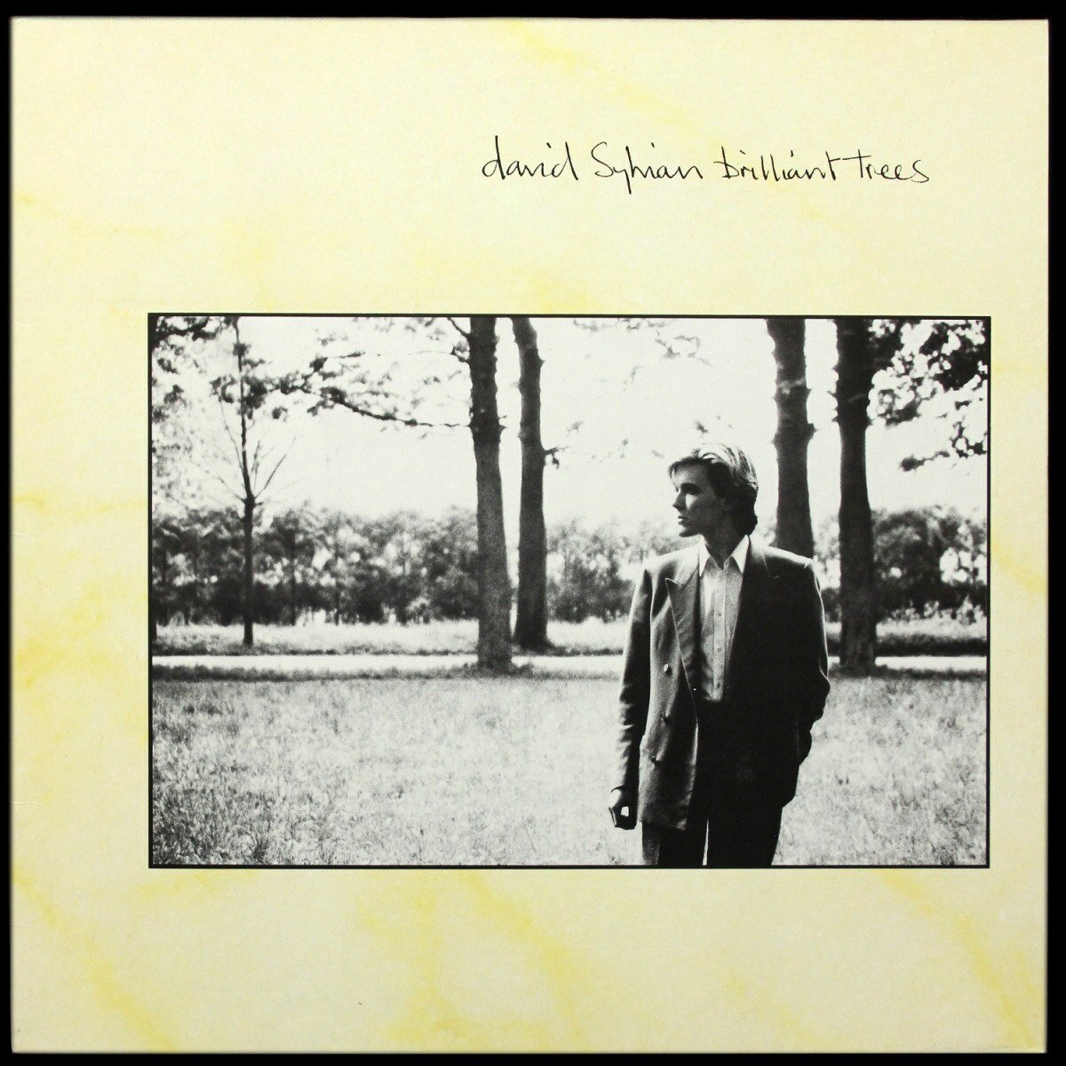 Виниловая пластинка Virgin David Sylvian – Brilliant Trees