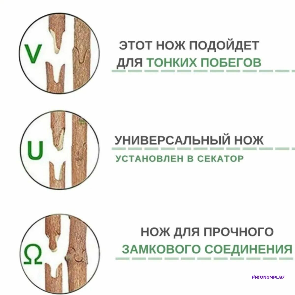 Секатор