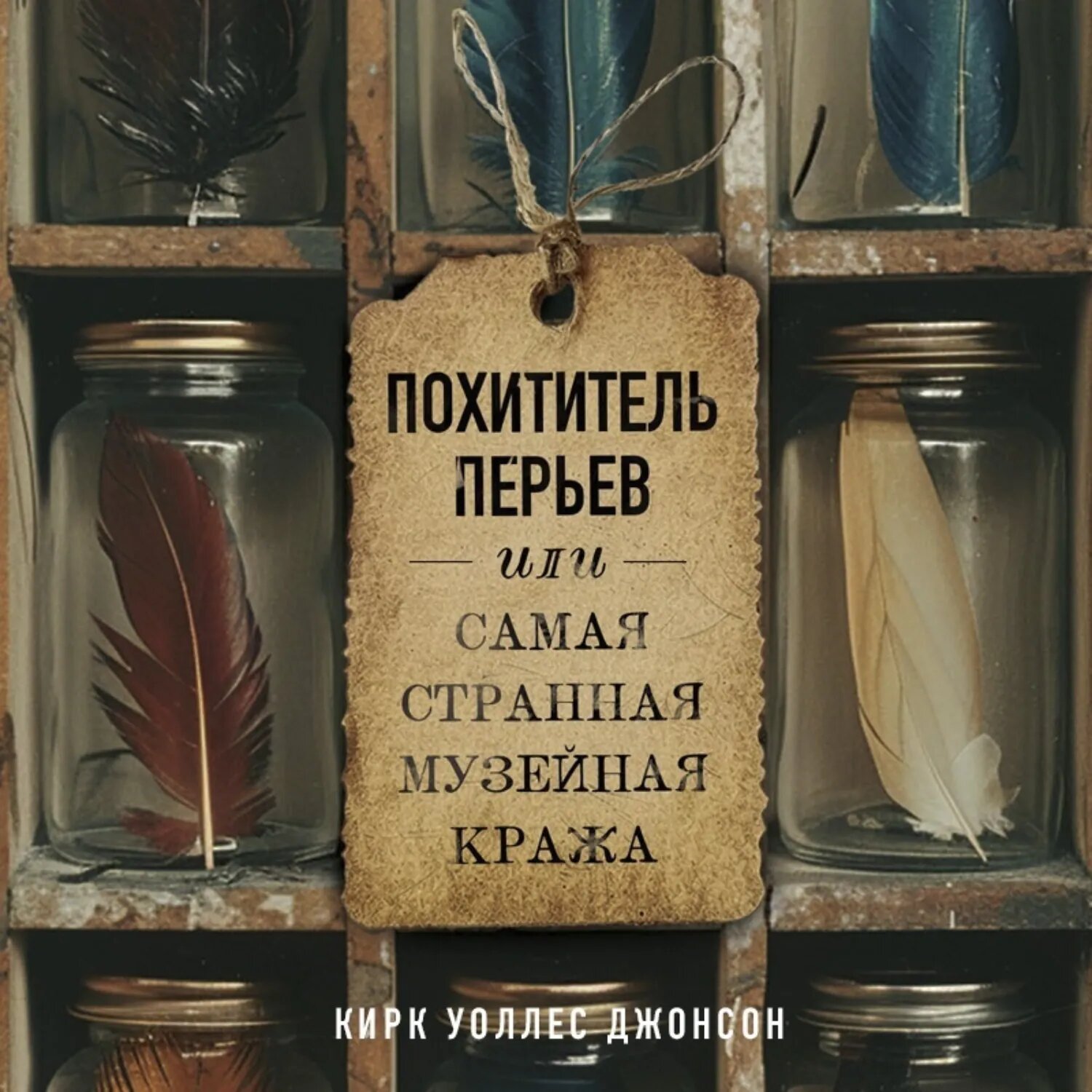 Похититель перьев или самая странная музейная кража [Аудиокнига]