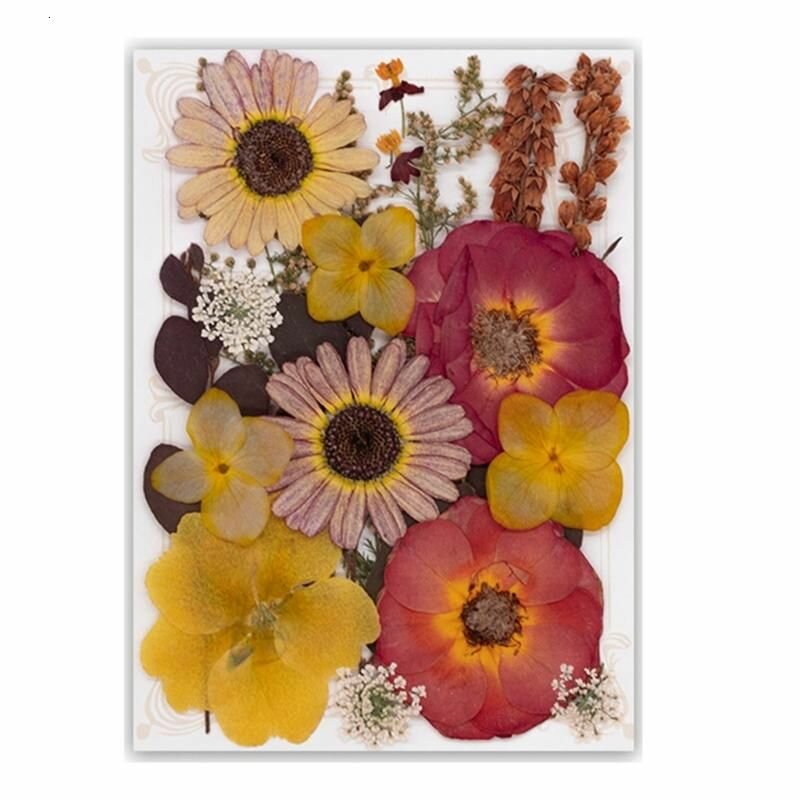 Материал Для Образцов Настоящих Цветочных Растений Flower-Tumi Серии D Type