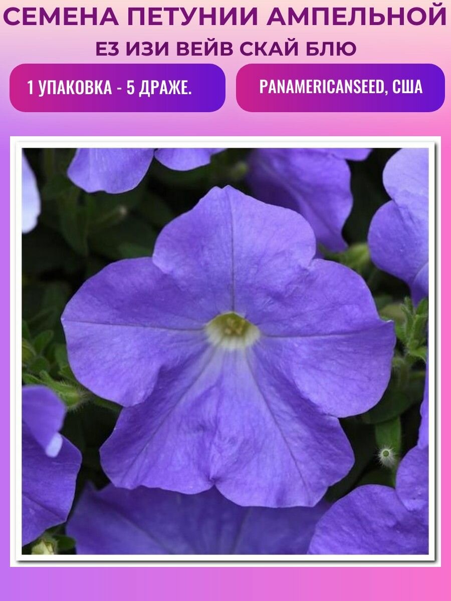 Петуния Е3 Изи вейв Скай Блю 1 упаковка (5 драже), PanAmericanSeed, США