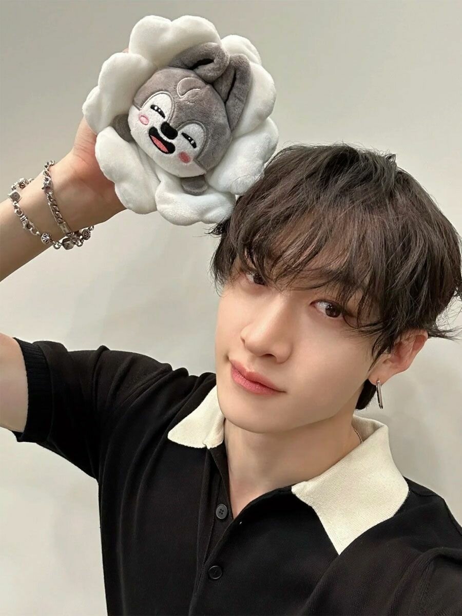SKZOO Пенал Для Карандашей Straykids
