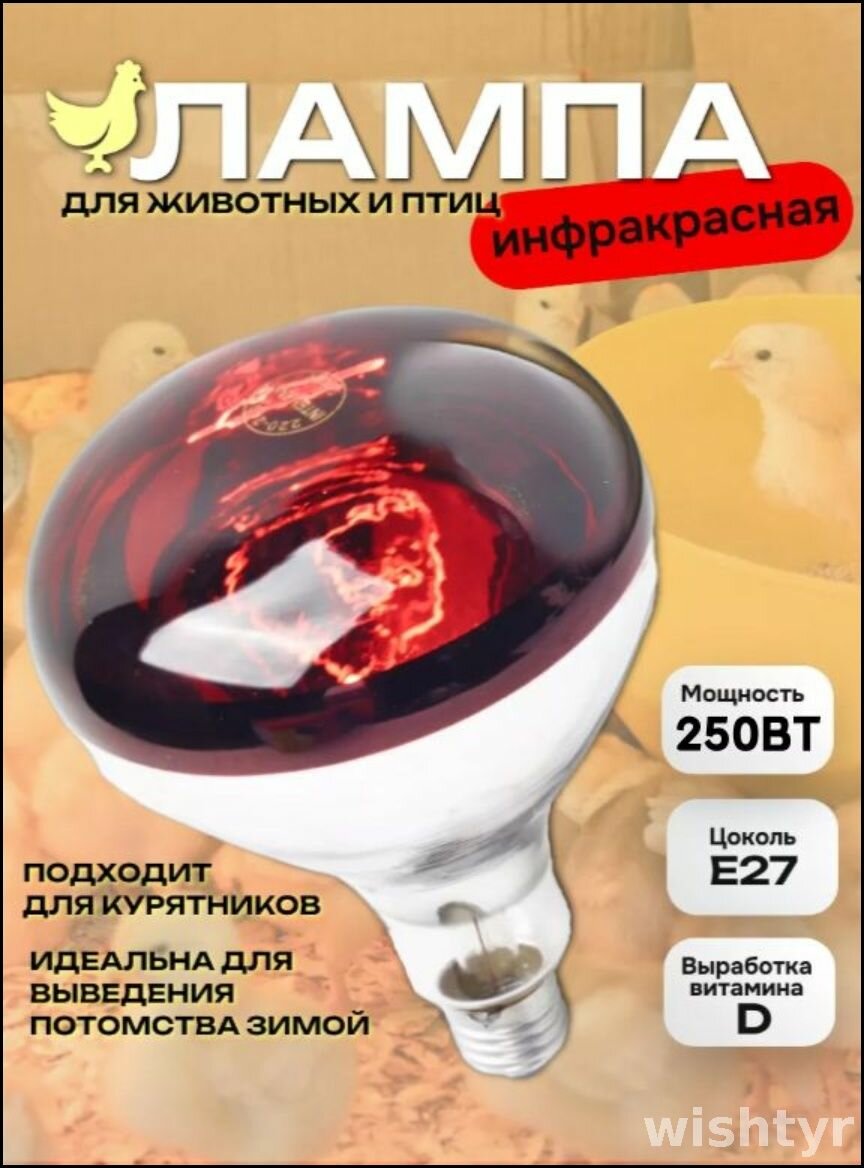 Эксклюзивный обогрев брудера и курятника мощной инфракрасной лампой 250 Вт