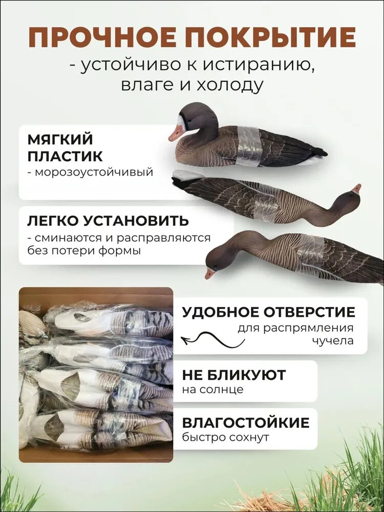 Чучела белолобых гусей комплект 10 шт сминаемые не бликуют для охоты — фото 1