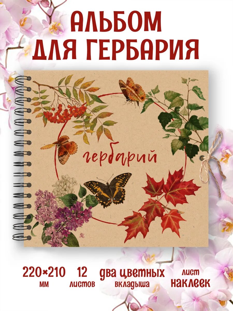 Альбом для гербария и творчества "Листопад" с наклейками на пружине в подарочной коробке