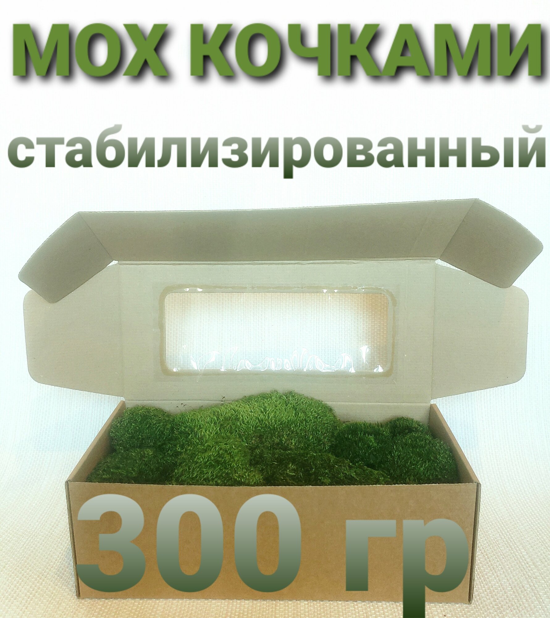 Изумрудный мох кочками, 300 грамм стабилизированный