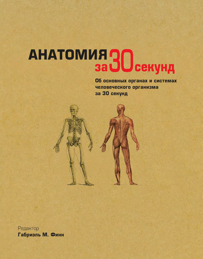 Анатомия за 30 секунд [Цифровая книга]