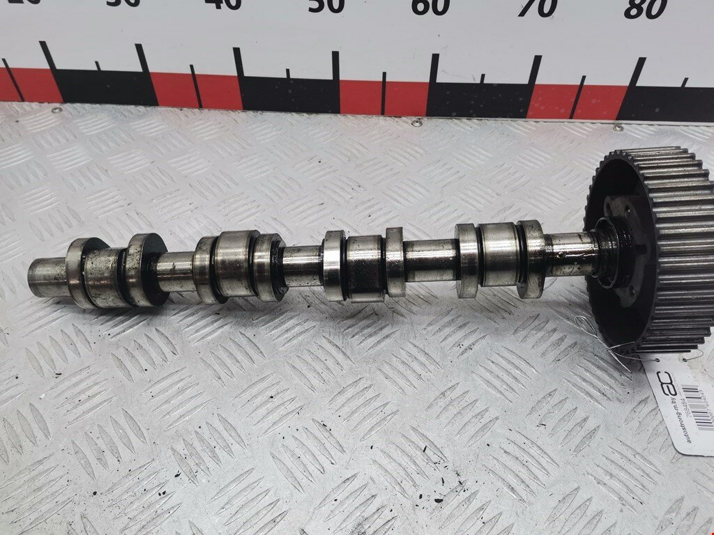 Распредвал Volkswagen Passat 6 03G109102B арт. 768484