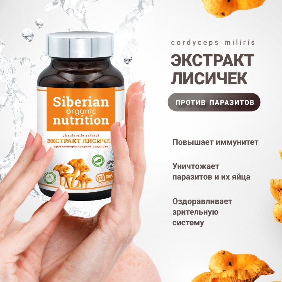 Экстракт лисичек, антипаразитарный, капсулы 120 шт противовоспалительное — фото 1