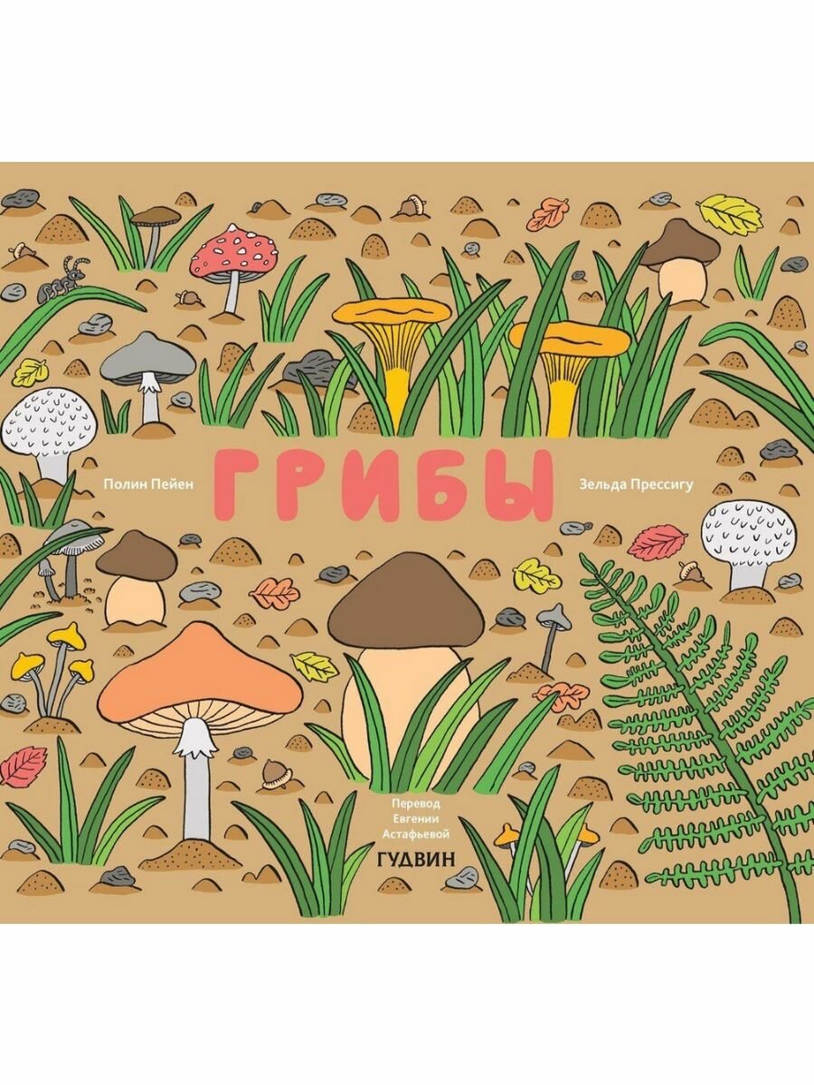 Грибы