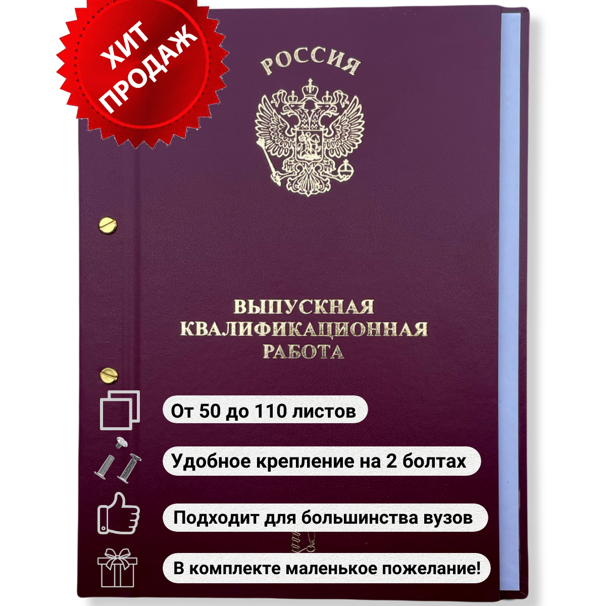 Папка для Выпускной квалификационной работы, для диплома, курсовых, рефератов. А4, без бумаги, 2 отверстия, на золотых болтах. ВКР