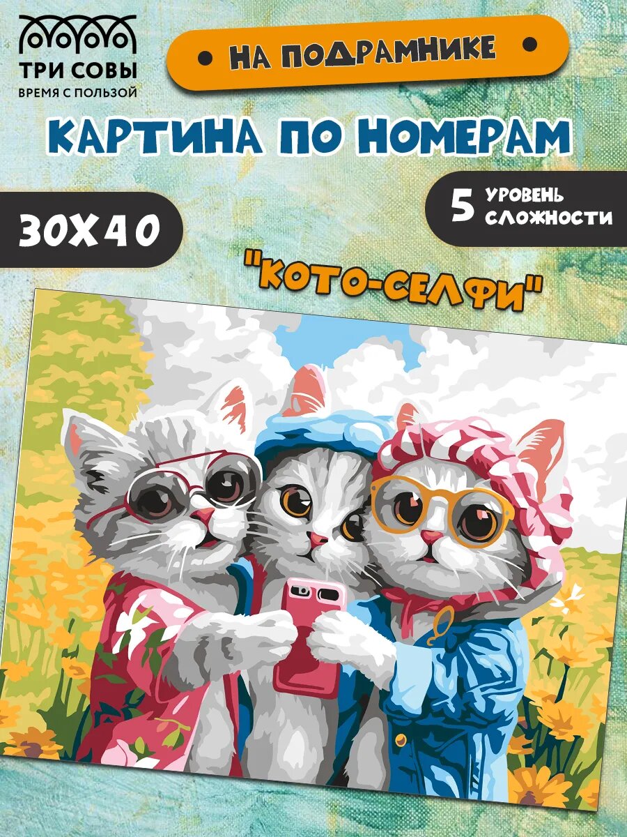 ТРИ совы Картина по номерам на холсте "Кото-селфи", 30х40 мм
