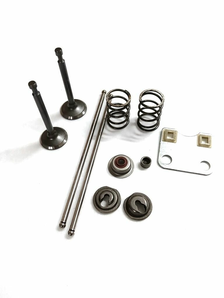 Клапана в сборе для двигателя LIFAN 168F, 168F-2, 170F, HONDA GX160 (ремкомплект)