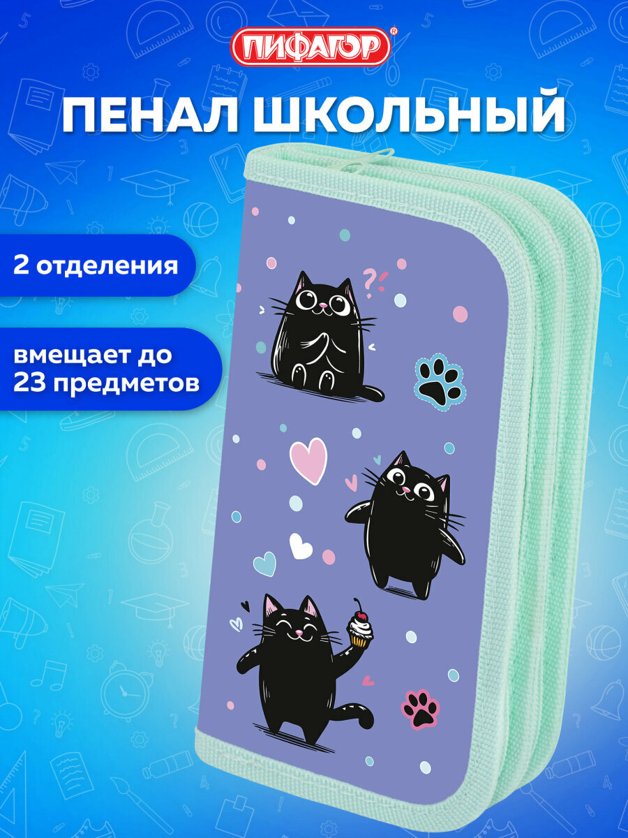 Пенал школьный для девочек для карандашей и ручек с 2 отделениями, канцелярия для школы, ламинированный картон, 19х11 см, Пифагор Funny cats, 273481