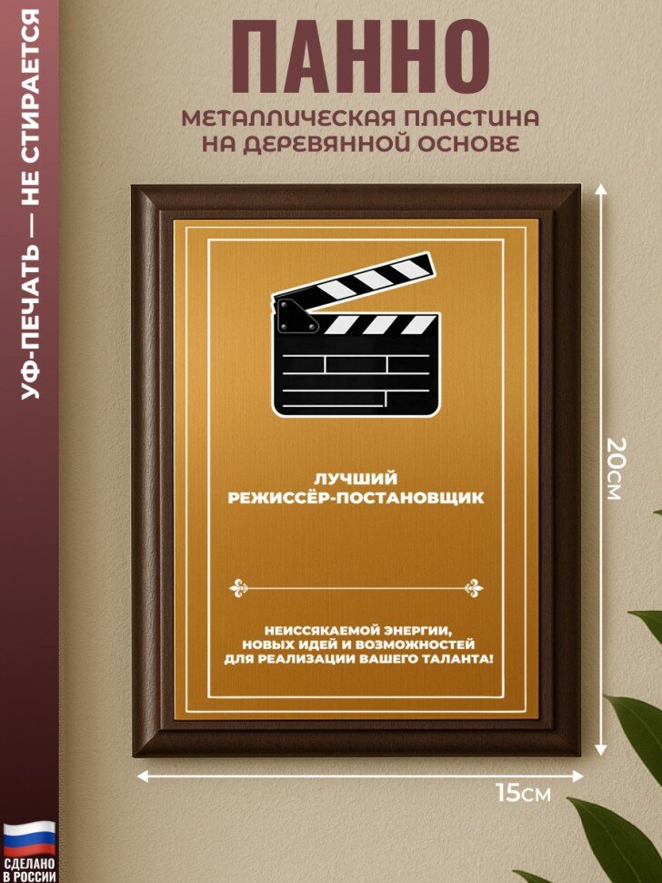 Настенный диплом "лучший режиссёр-постановщик" Киношнику
