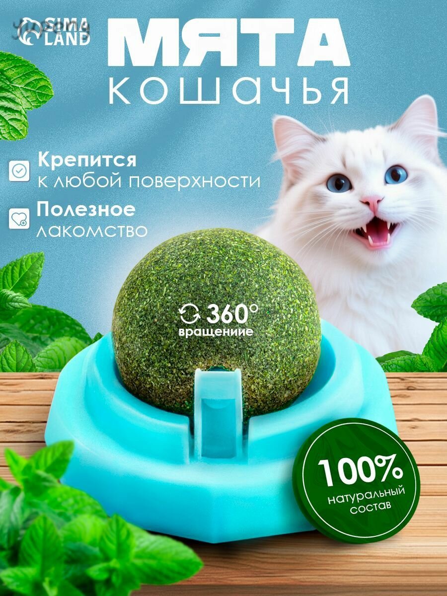 Игрушка для кошек /кошачья мята шарик на стену, голубой