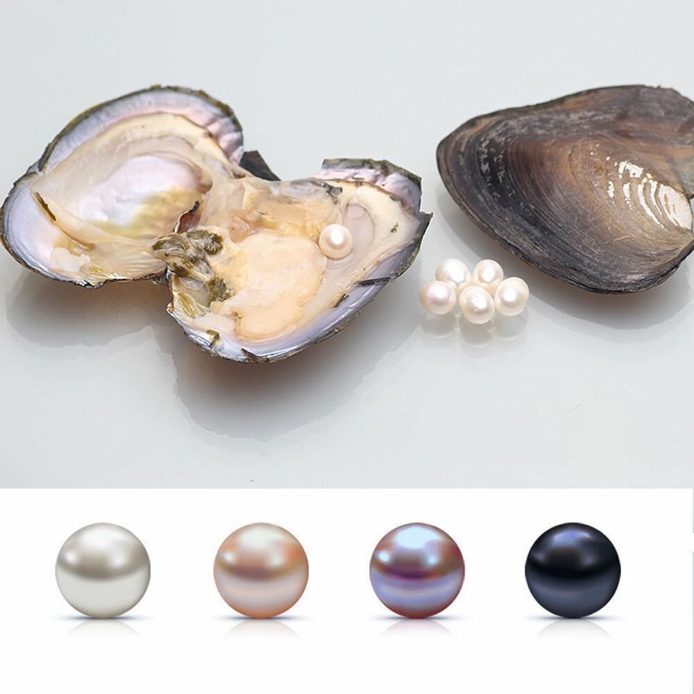 Жемчуг в ракушке речной культивированный / вакуум