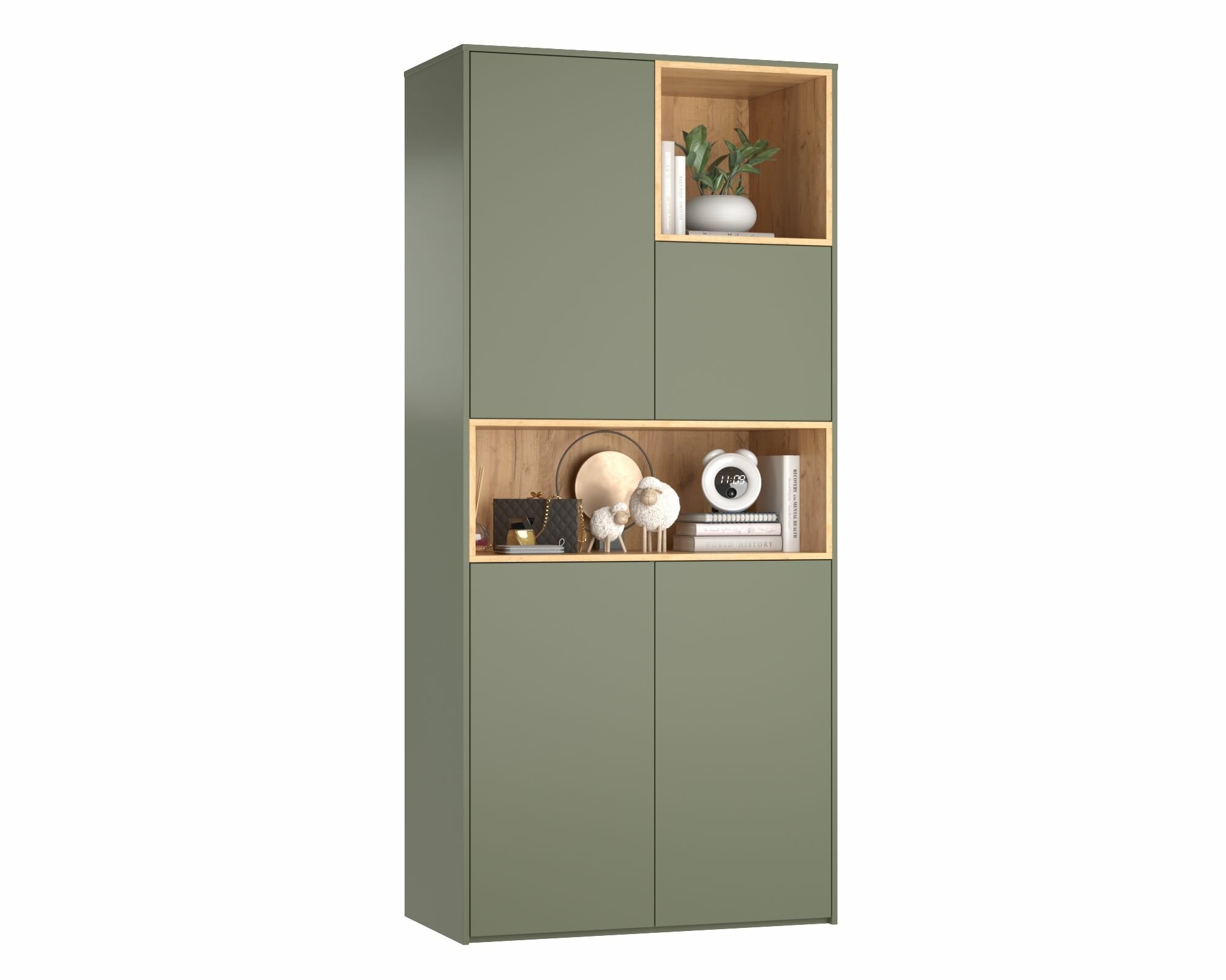 Шкаф распашной для одежды "Рокки 6" 100х220х52 Зеленый дымчатый / Дуб крафт золотой