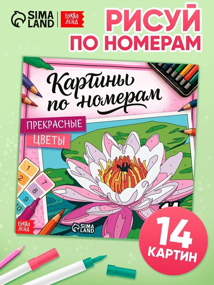 Раскраска картина по номерам Прекрасные цветы, 14 картин
