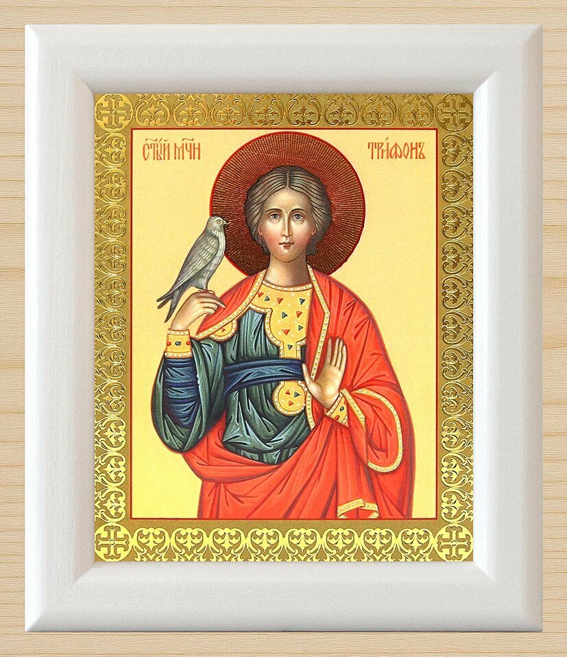 Мученик Трифон Апамейский (лик № 014), икона в белой деревянной рамке 12,5*14,5 см