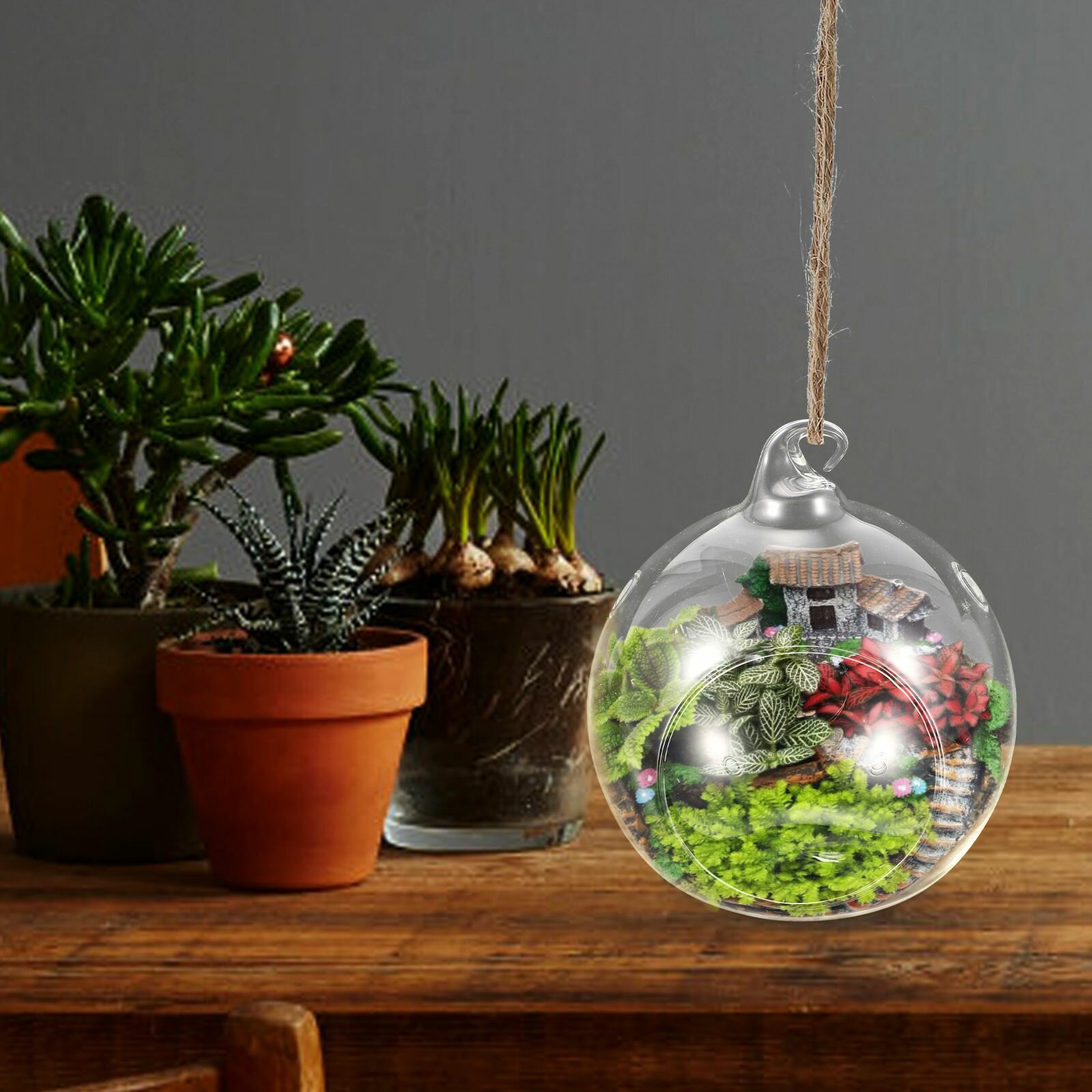 Набор из 2 прозрачных стеклянных подвесных флорариумов для дома