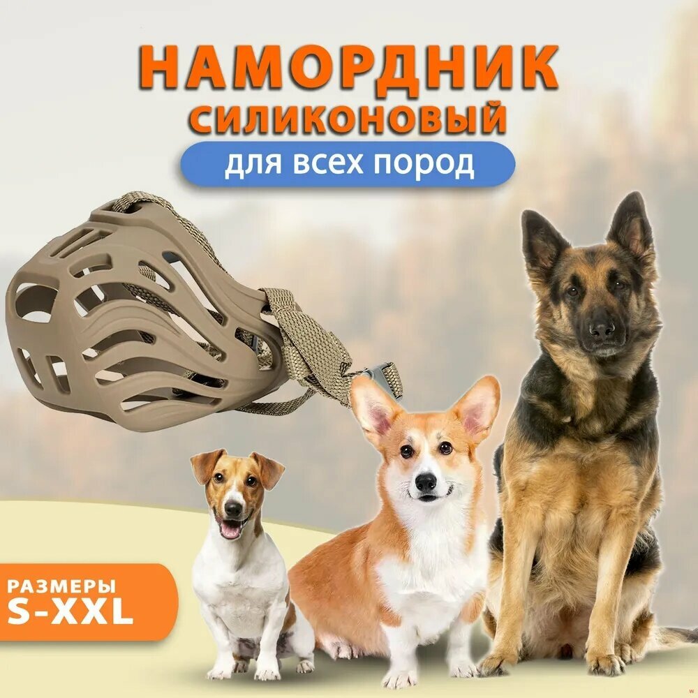 Намордник