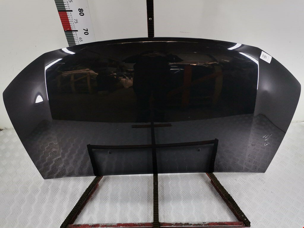 Капот Renault Sandero 2 651001918R арт. 1566061