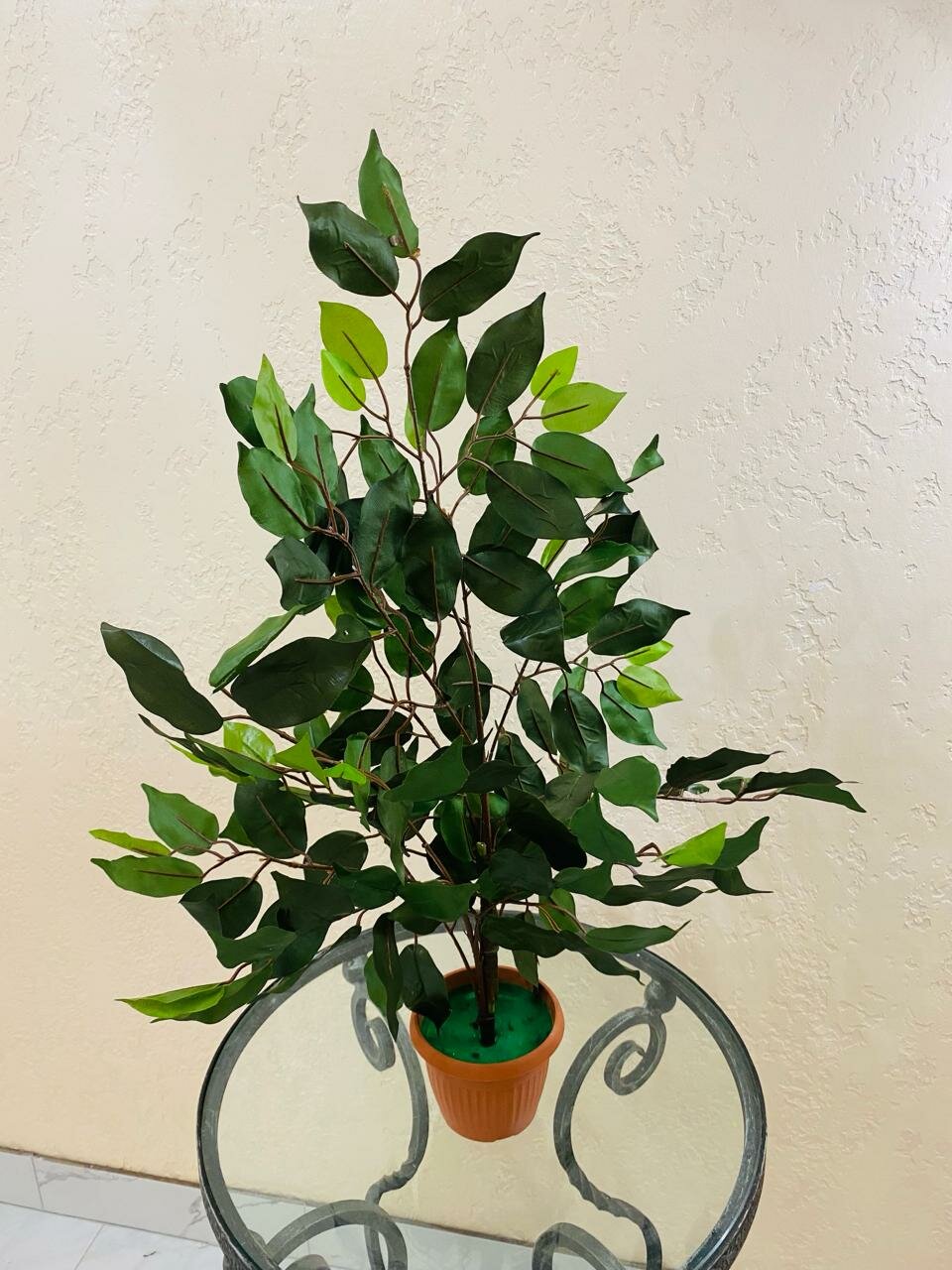 Декоративный элемент Holodilova "Фикус", искусственный, 60х12х12 см