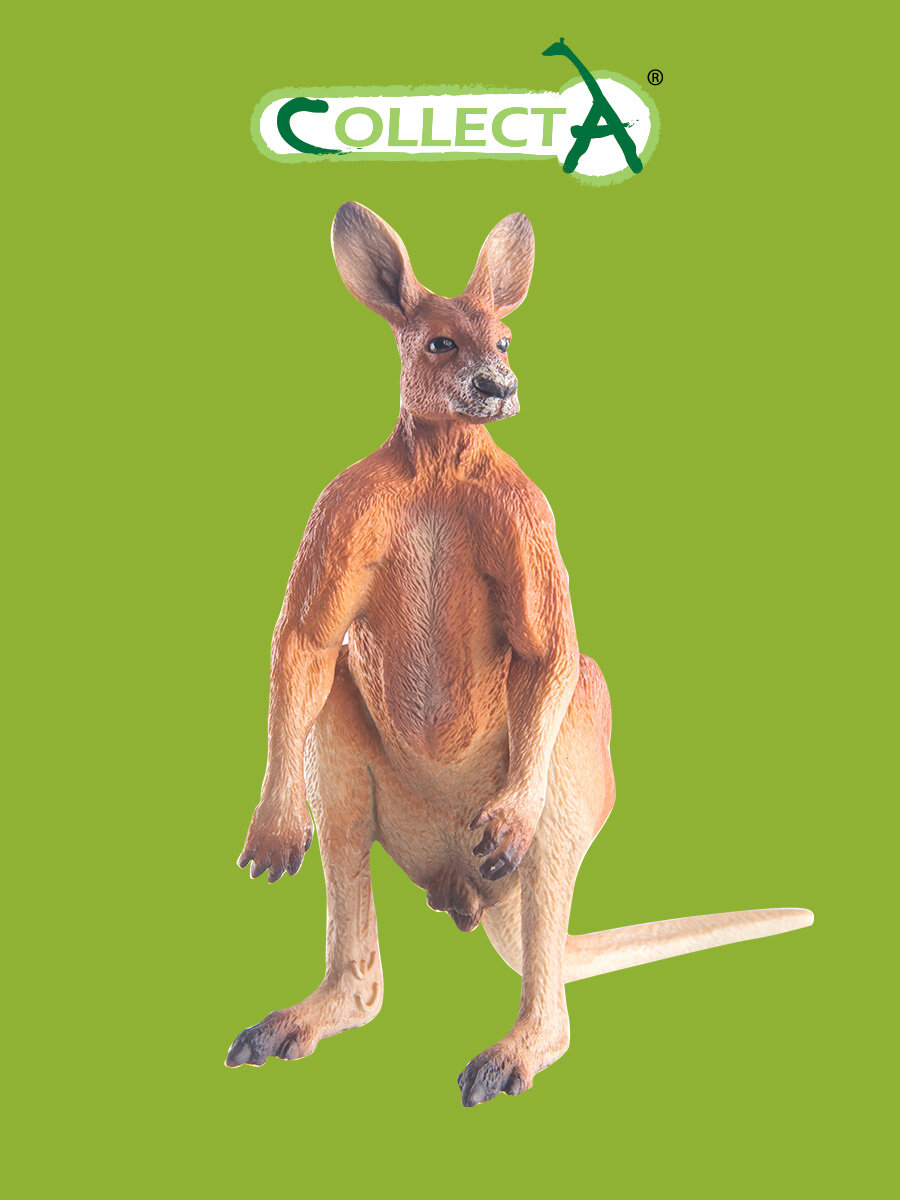 Фигурка животного Collecta "Кенгуру самец" высота 11 см, 88942b