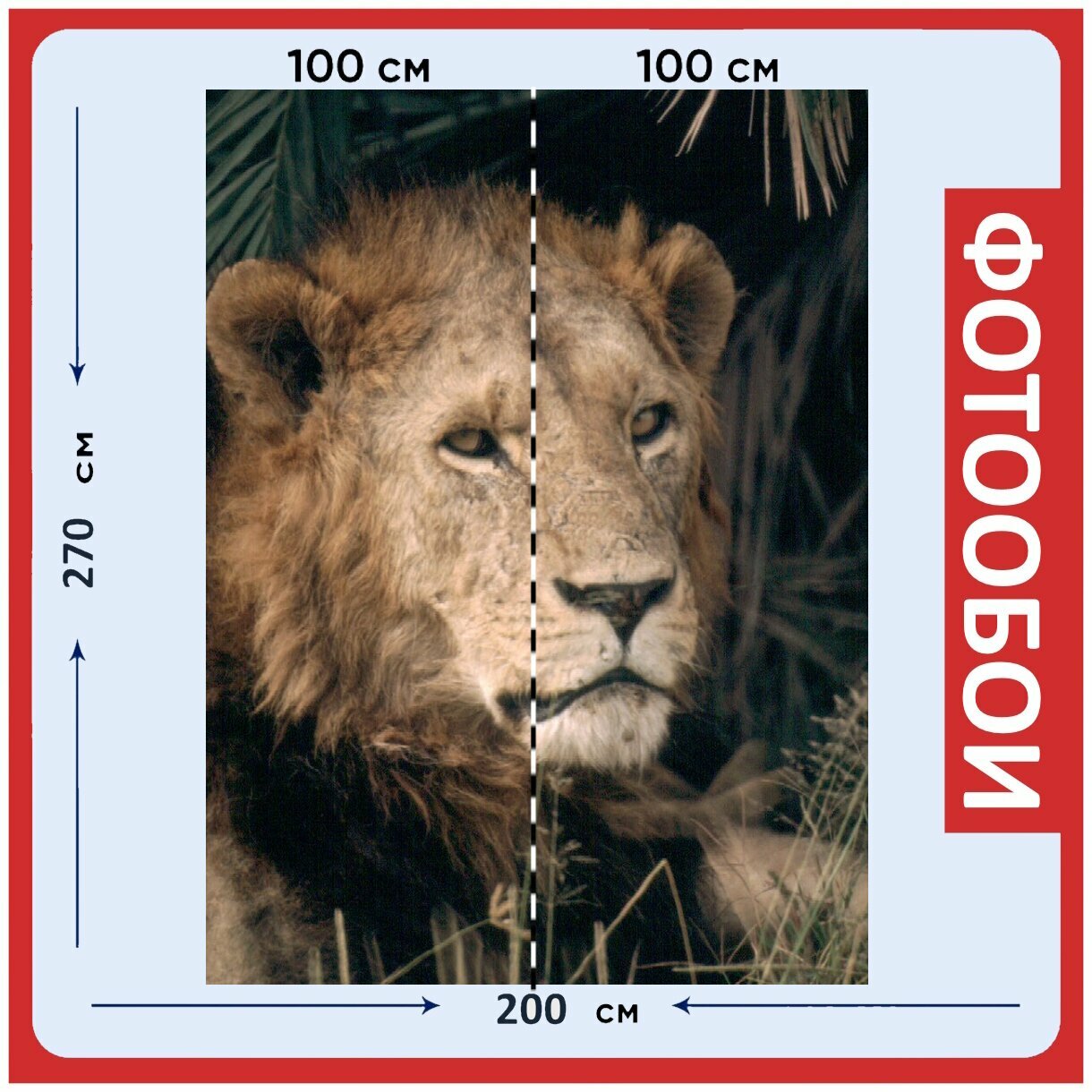 Фотообои "Лев, король, джунгли" 200x270 см. флизелиновыена стену