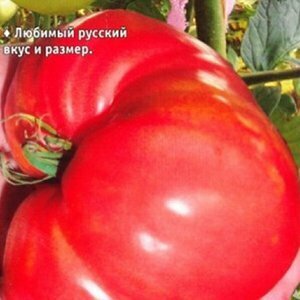 Семена Томат Советский 20 шт.