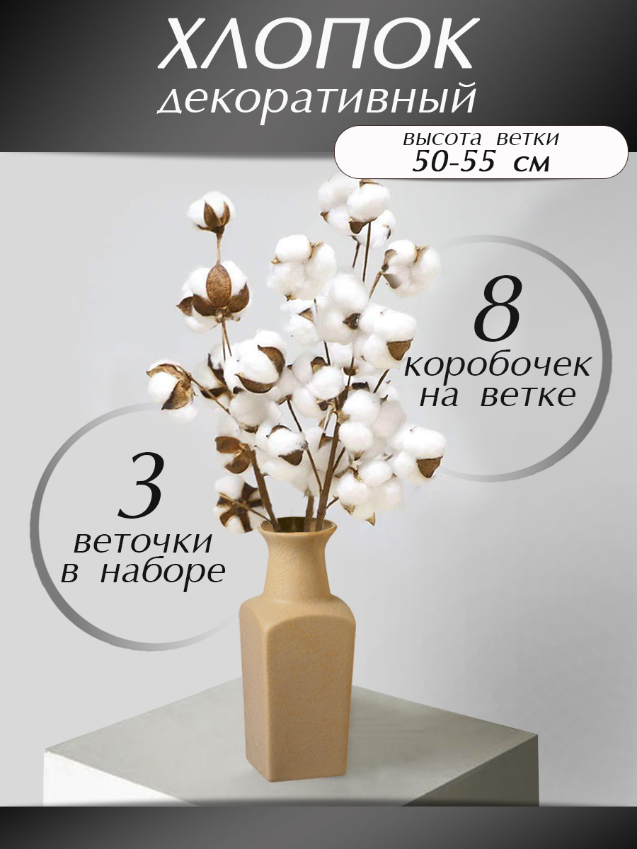 Сухоцветы Хлопок для декора, 3 ветки, 8 бутонов