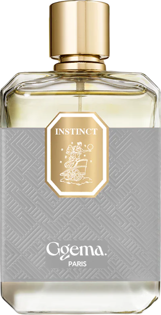 Ggema Paris Instinct 100 мл, парфюмерная вода Унисекс