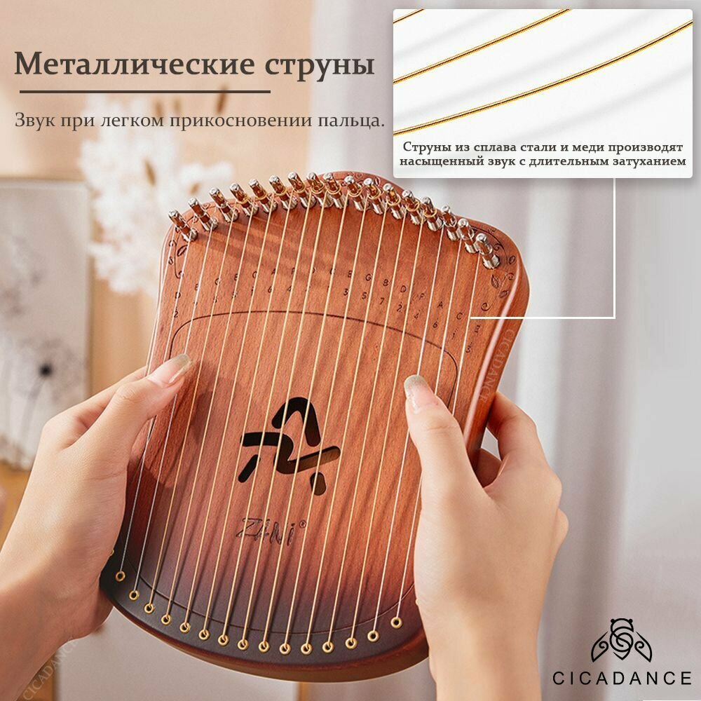 Струнный инструмент — фото 1