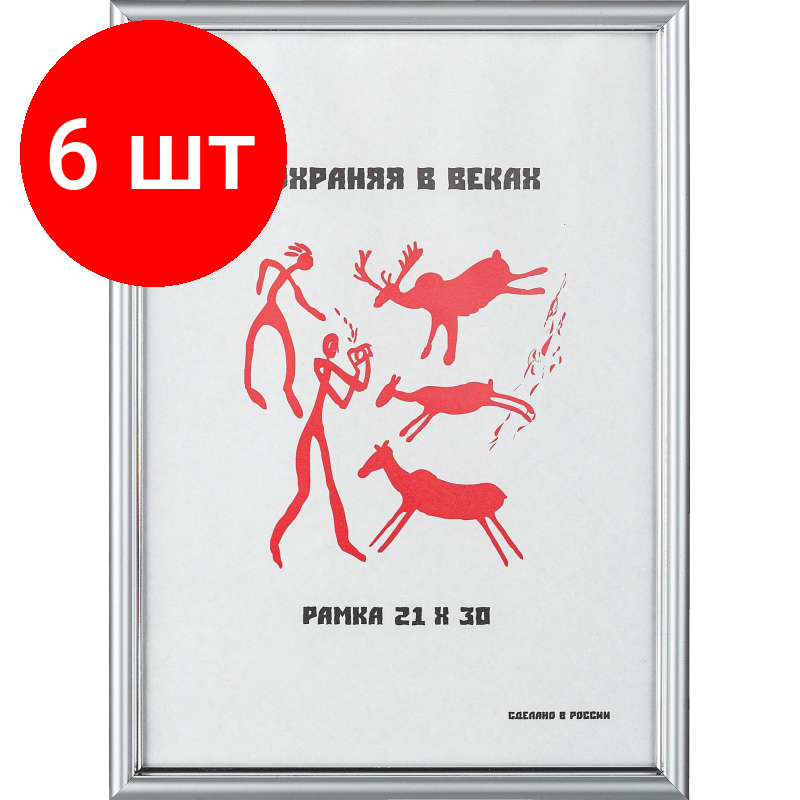 Комплект 6 штук, Рамка пластиковая 591 21x30 (A4) серебро
