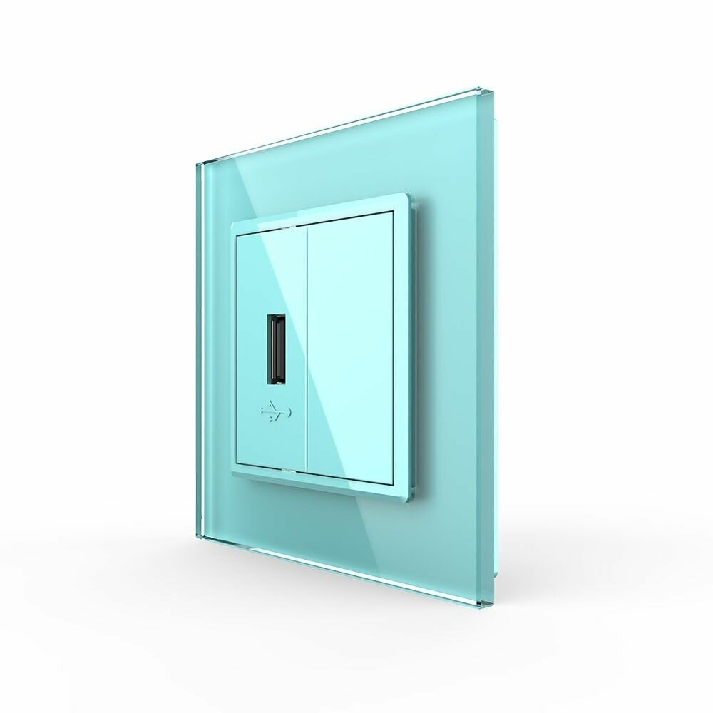 USB-розетка LIVOLO ORIGINAL VL-C791USB-18, 1 порт, 5В 2.1А, зеленая стеклянная рамка, комплект