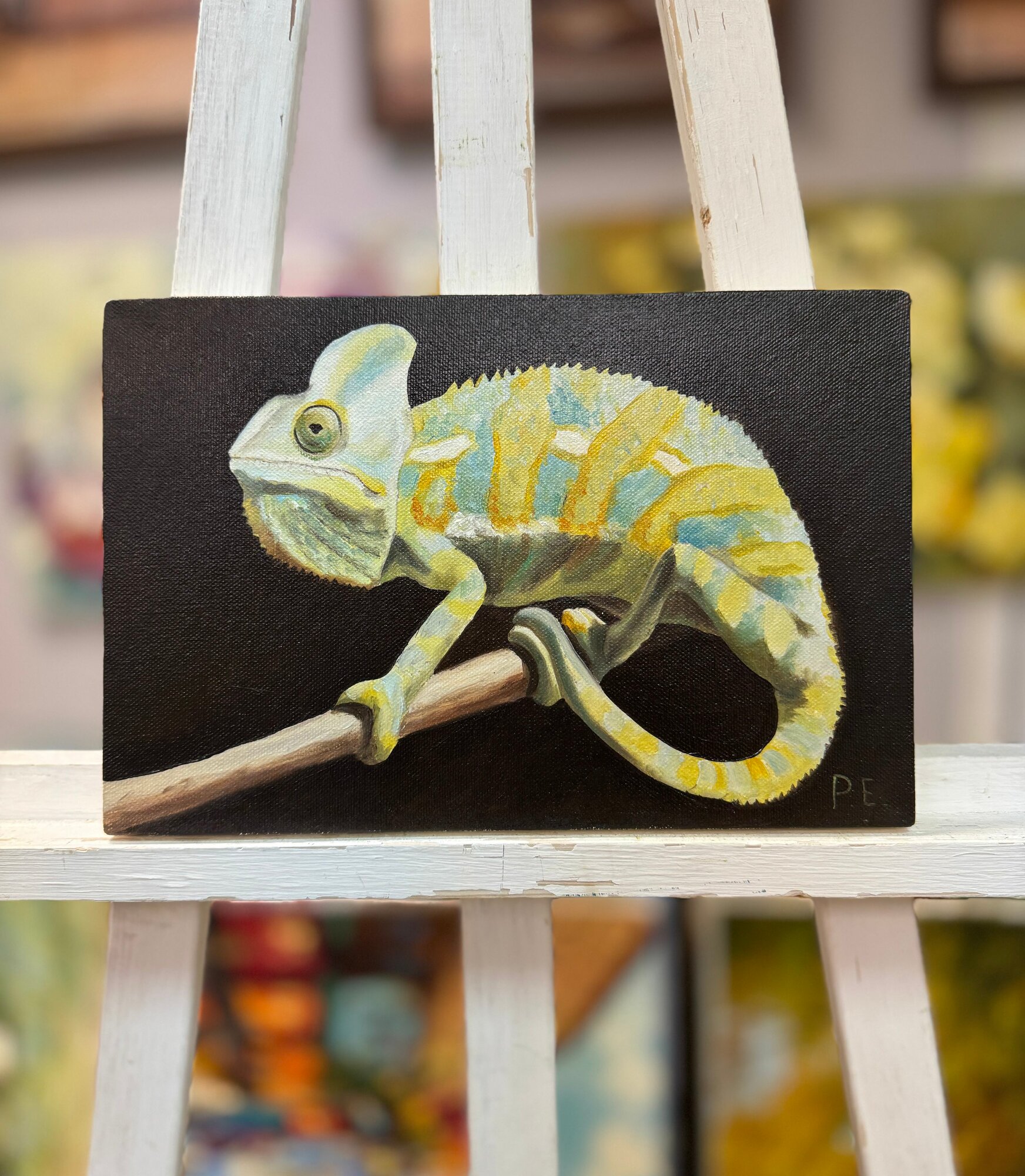 Картина масло/холст в технике мастеров из Лейденской школы Голландской живописи "Хамелеон на ветке животные" 20х30 см.