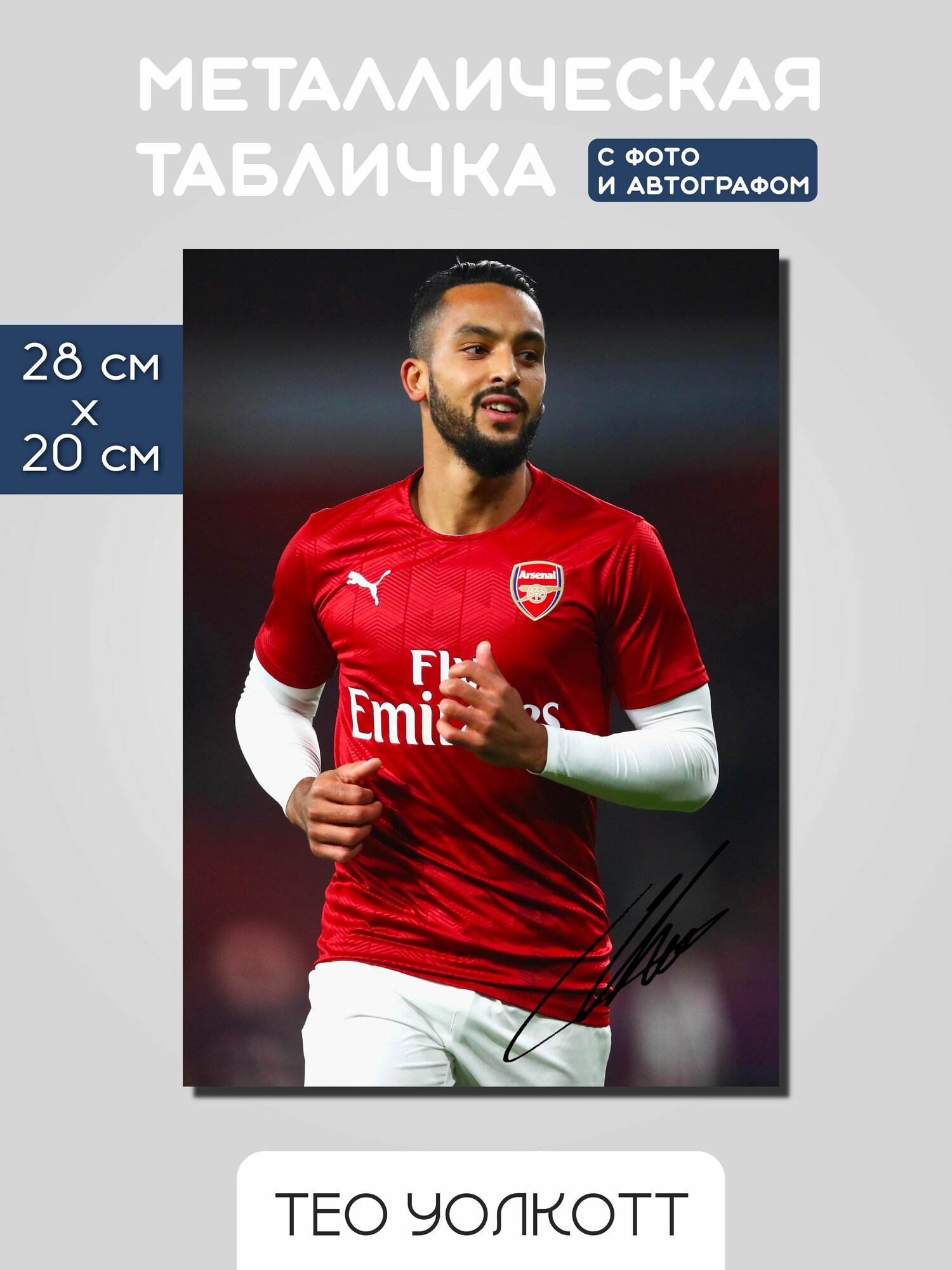 Тео Уолкотт автограф на металлической фотографии 280х200мм