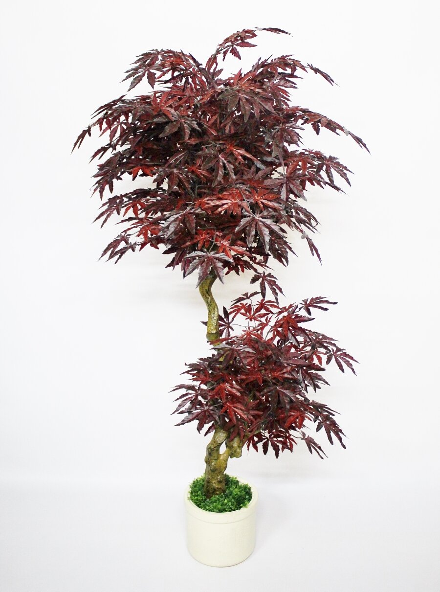 Клен темно-красный, 165 см, бренд CONEKO - декор для дома и офиса