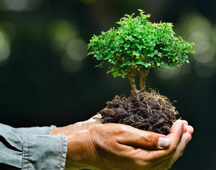 Охрана окружающей среды | для начинающих с нуля | для начинающих с нуля