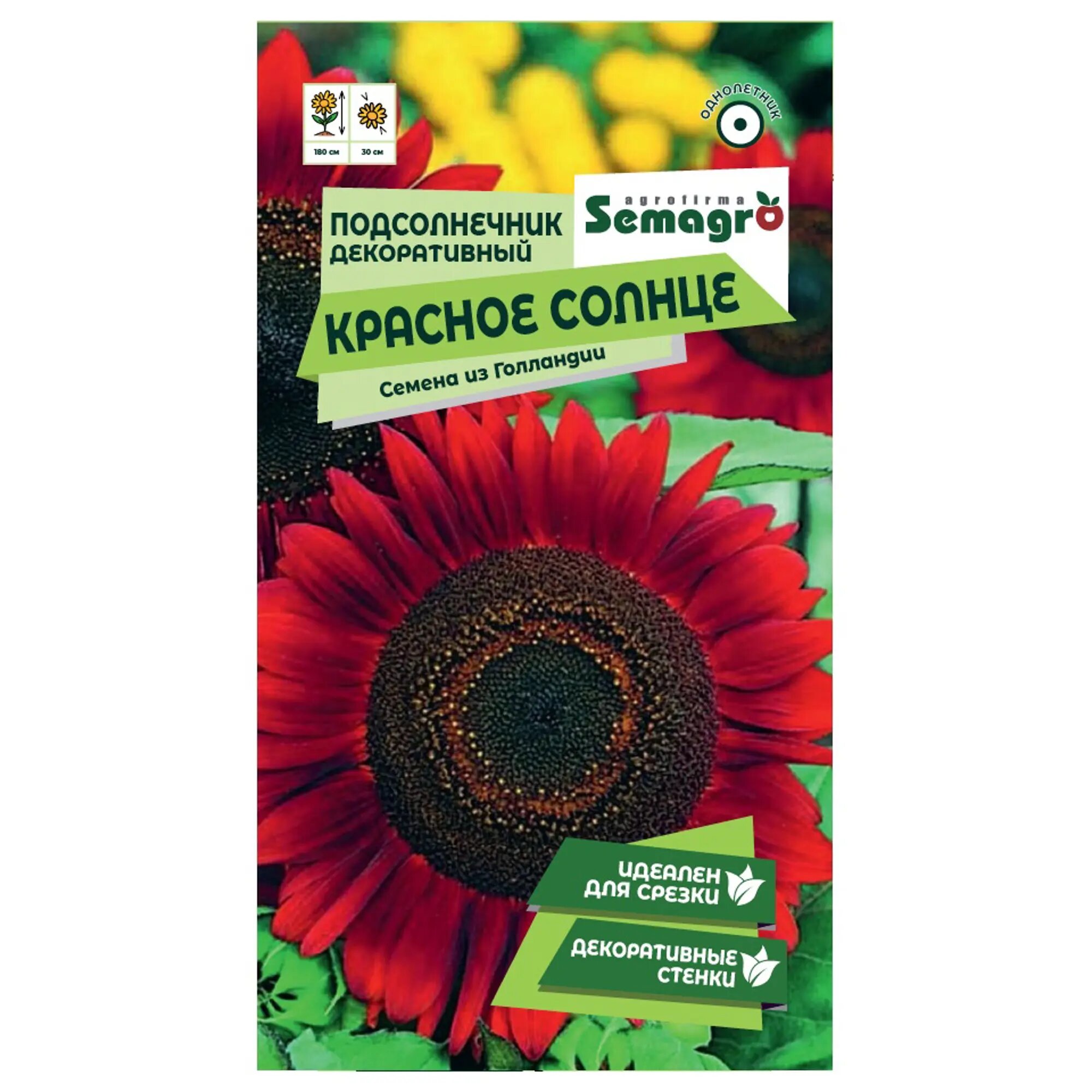 Семена подсолнечника Красное солнце - декоративный сорт с крупными яркими цветами