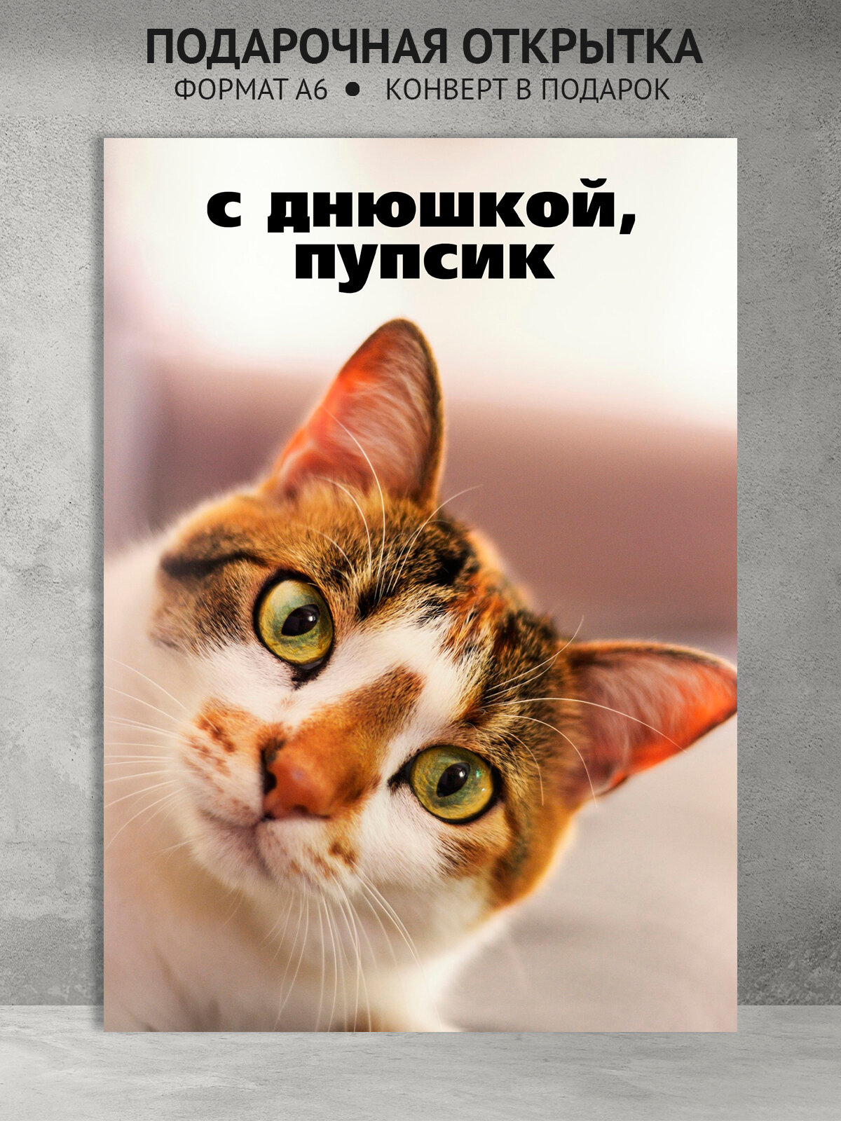 Подарочная открытка с уникальной иллюстрацией котик "С днюшкой, пупсик" с днем рождения, с юбилеем