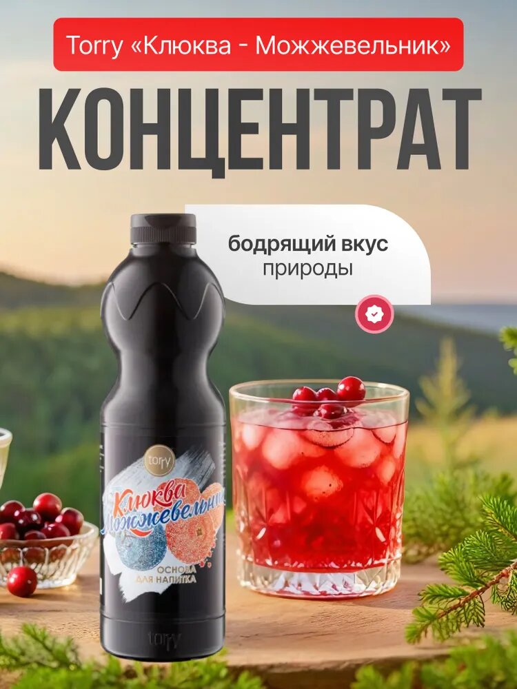 Основа Torry "Клюква Можжевельник", для напитков, коктейлей, десертов, пластиковая бутылка, 1кг