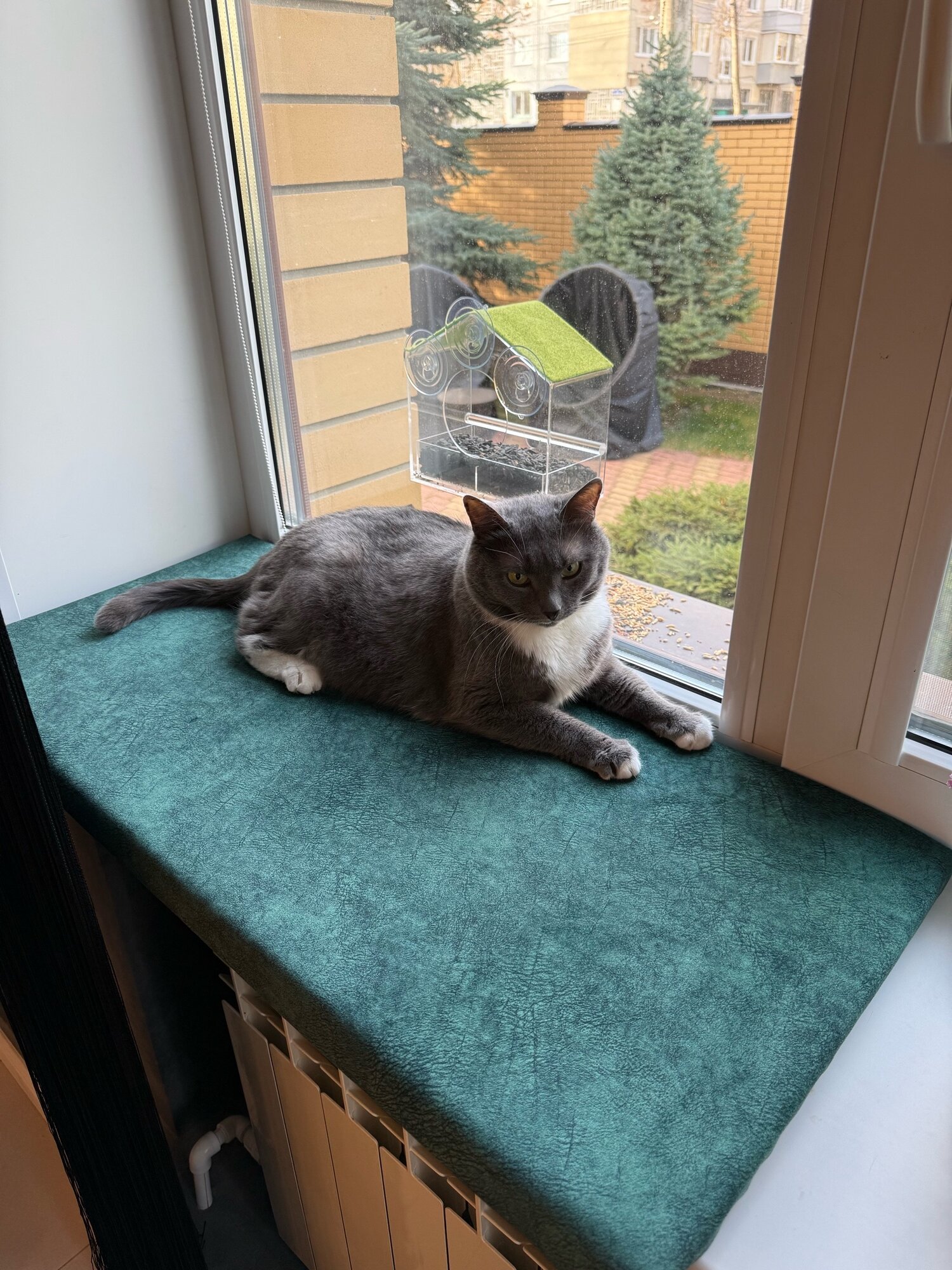 Лежанка 41*92 для кошек и собак на подоконник, на пол антискользящая (мебельный велюр + поролон).