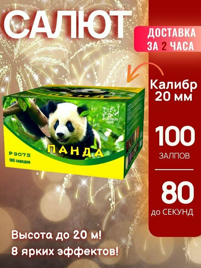 Батарея салютов на 100 залпов Панда (100 зарядов калибр 0,8" дюйма)