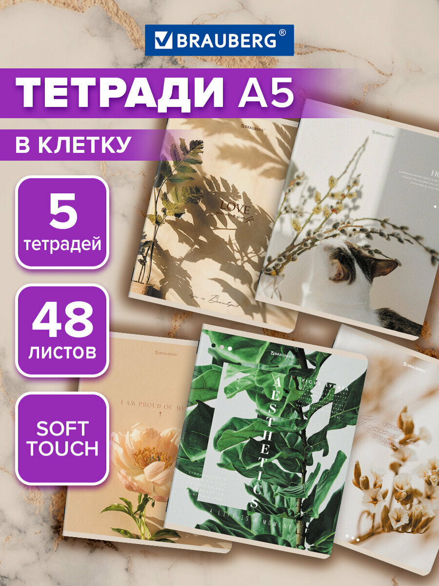 Тетрадь А5 в клетку 48 листов для записей в школу и офис, набор 5 штук, обложка soft-touch, Brauberg Эстетика, 404949