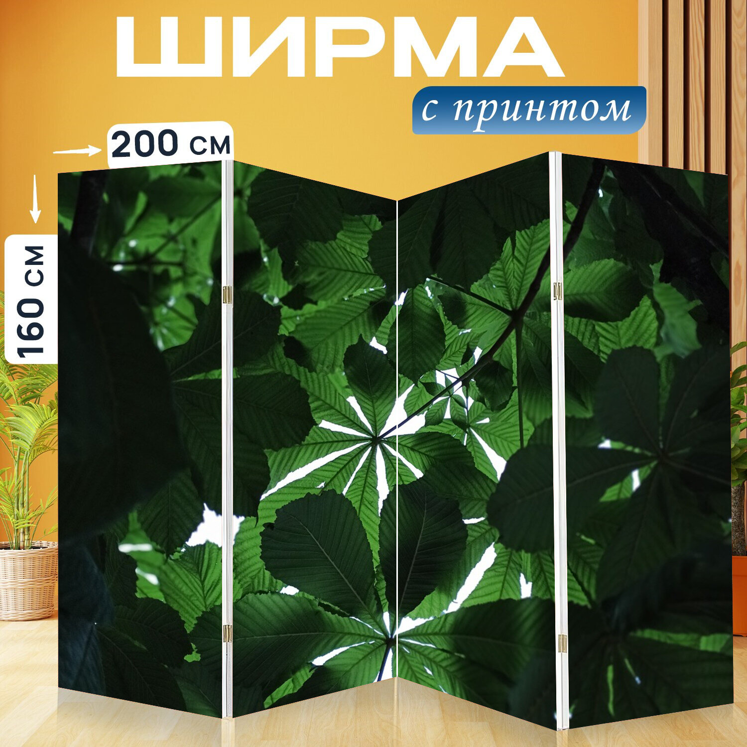 Ширма перегородка с принтом "Листья, каштан, резные" на холсте - 200x160 см. для зонирования, раскладная