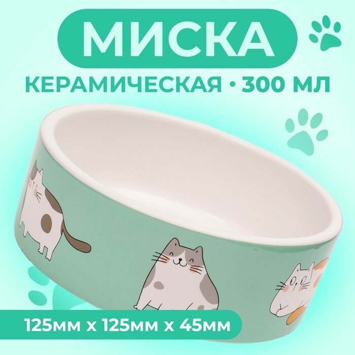 Миска керамическая "Котяры" 300 мл 12,5 x 4,5 cм, бело-зелёная, 9214849
