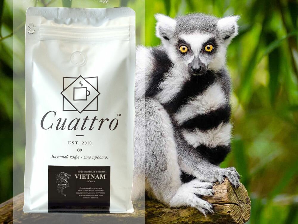 Кофе в зернах CUATTRO Вьетнам Дамбри Фоллз 500 г, робуста