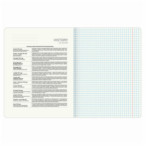 Тетрадь предметная "кот-энтузиаст" 48 л, TWIN-лак, история, клетка, подсказ, BRAUBERG, 404563